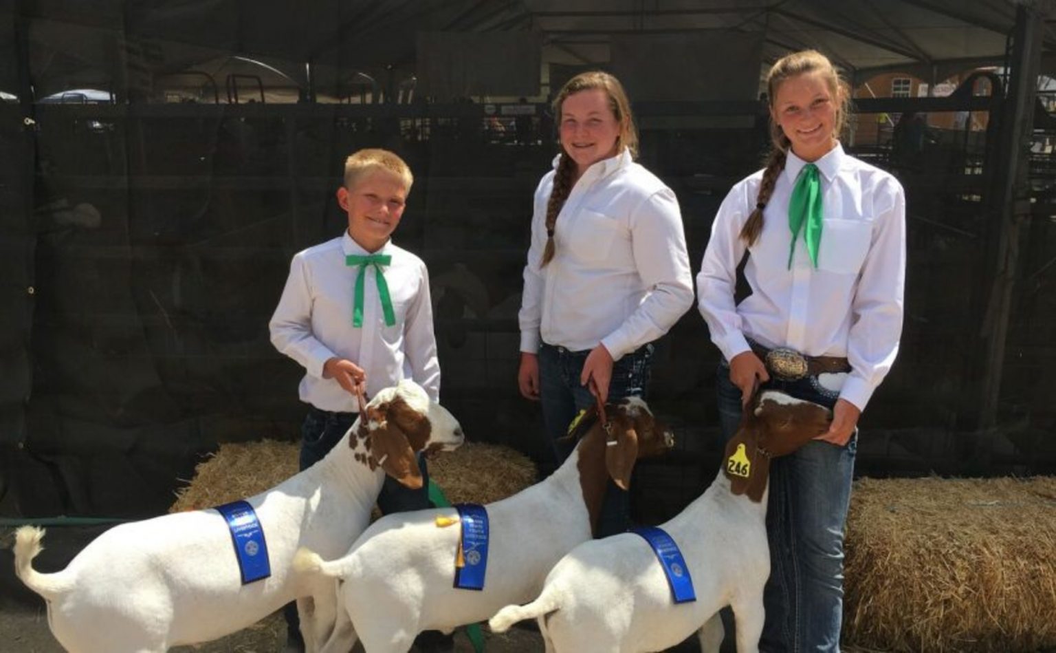 Battle Born Livestock: Kids Raising Boer Goat Kids - Goat Journal